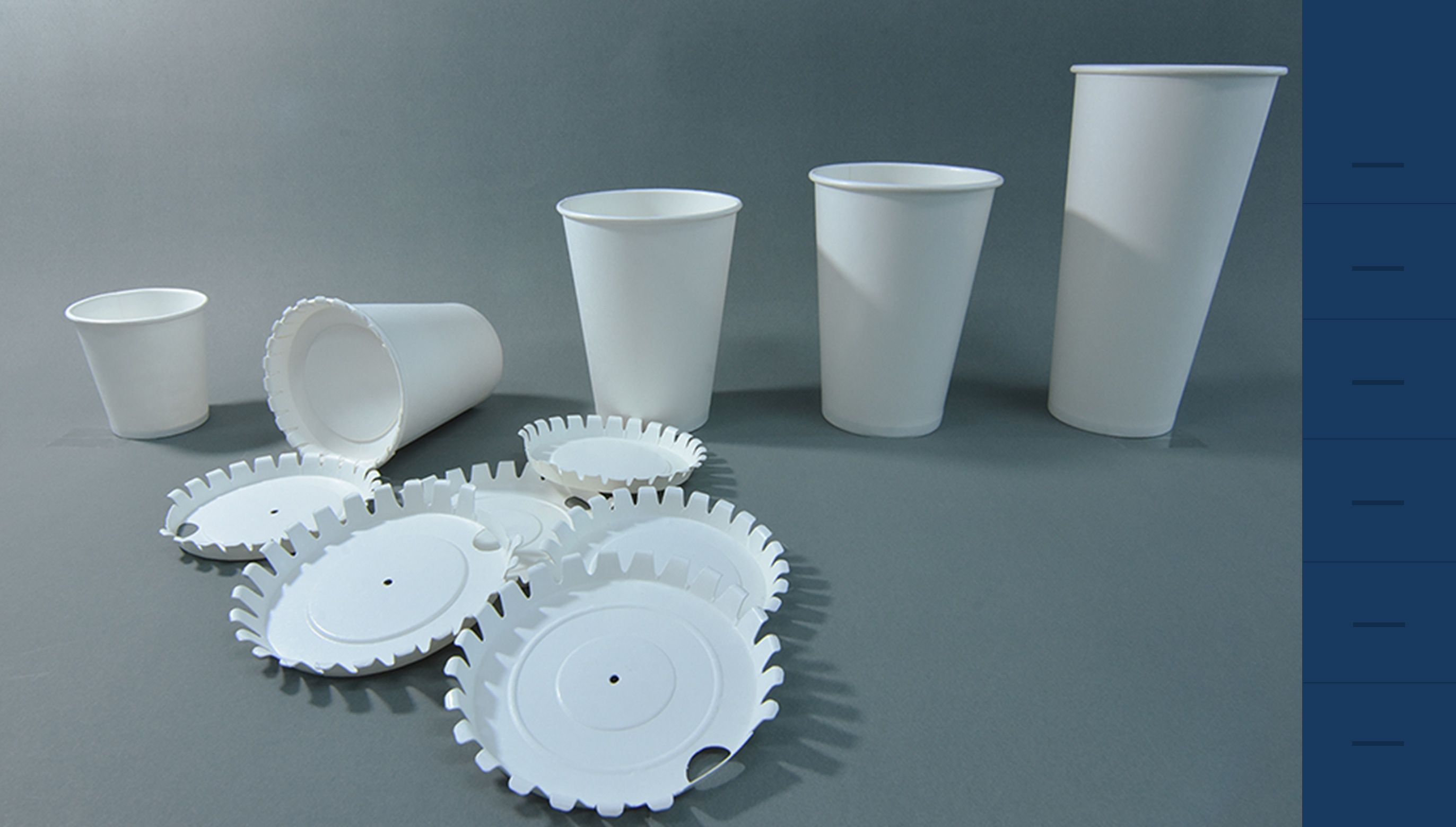 TPBI PUBLIC COMPANY LIMITED. - Biodegradable Packaging